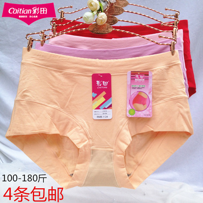 彩田莫代尔大码包臀纯色内裤