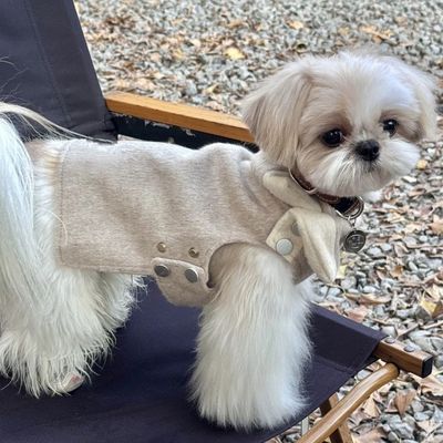 宠物狗狗衣服秋冬防风简约休闲风衣中小型宠物西施马尔济斯约克夏