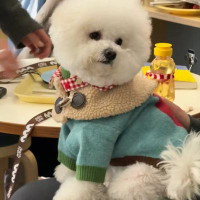 宠物毛衣猫狗可爱大苹果毛衣秋冬狗狗保暖衣服比熊猫咪中小型犬