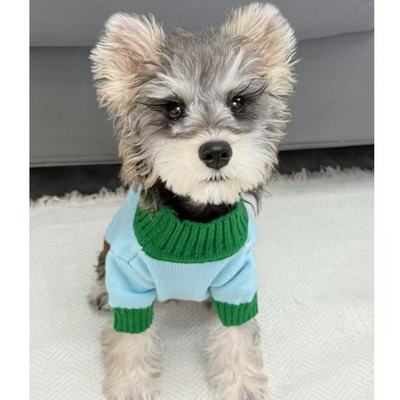 宠物毛衣猫狗可爱大苹果毛衣秋冬狗狗保暖衣服比熊猫咪中小型犬