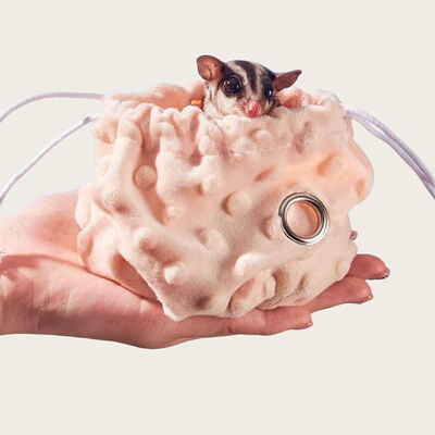 蜜袋鼯外出包把玩盘蜜袋仓鼠飞鼠宠物用品豆豆绒束口袋透气盘蜜包