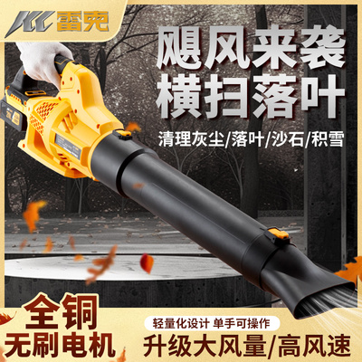 雷克纯铜无刷暴风机吹雪机