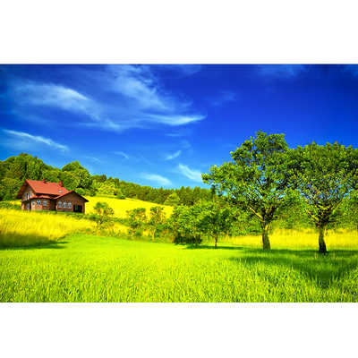 海报田园风树木森林装饰画定制