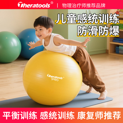 theratools瑜伽球儿童训练专用