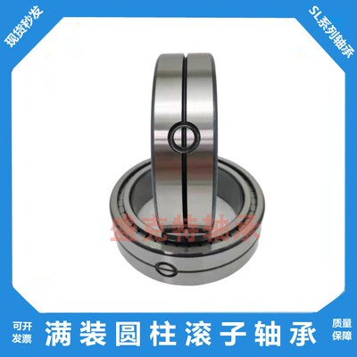 双列满装圆柱滚子轴承SL045020