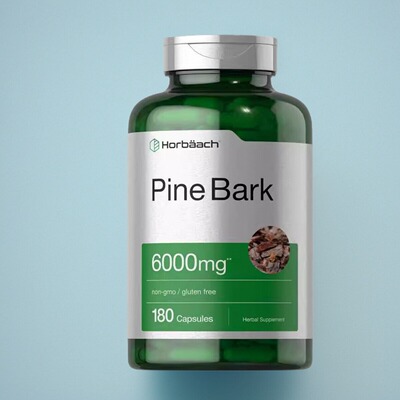 松皮提取物Pine皮肤关节对