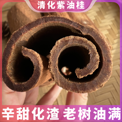 正宗紫油油桂广西直发老树桂