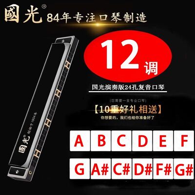 上海国光24孔专业演奏复音口琴