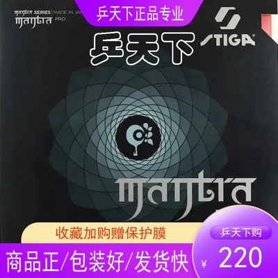STIGA斯蒂卡咒语PRO樊系套胶日本XH乒乓球球拍内能涩性H反胶胶皮M