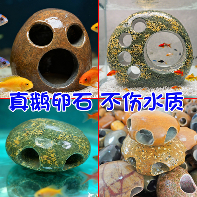 小鱼躲避洞穴（一物一拍）