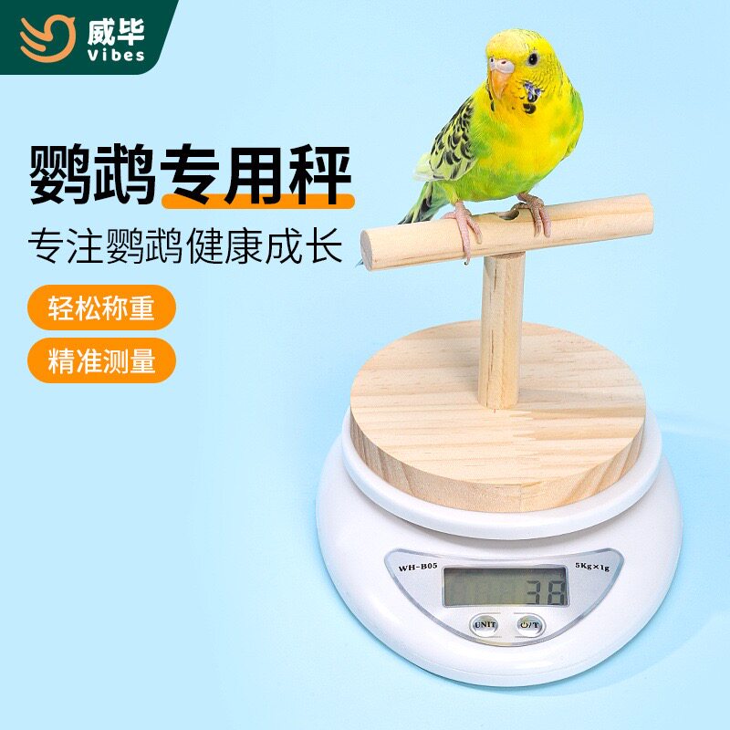 8玖-鹦鹉体重秤站架站杆电子秤奶粉秤鸟粮喂药秤玄凤虎皮牡丹鸟类