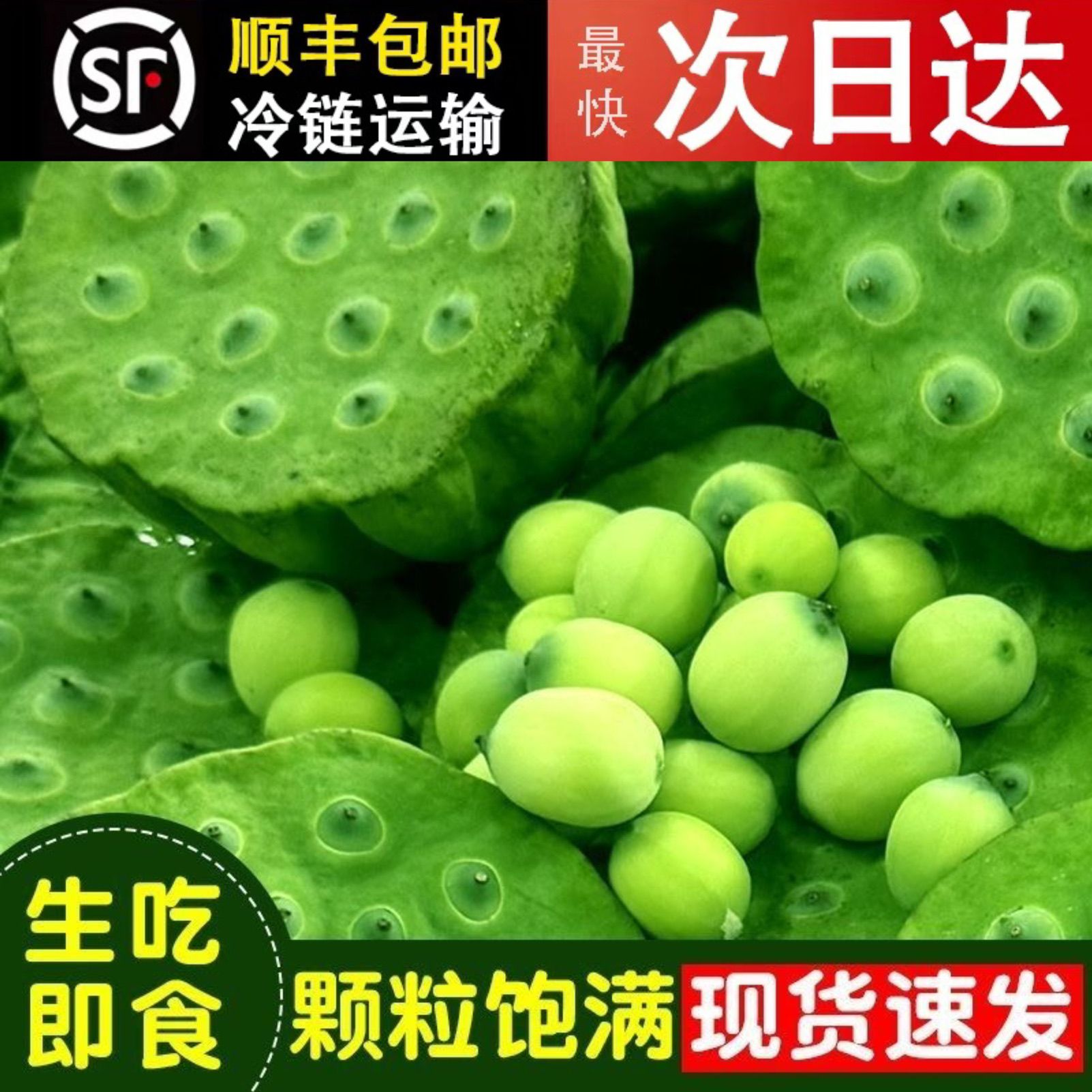现摘湖北新鲜莲蓬水果莲蓬太空莲蓬生吃清甜加冰保鲜