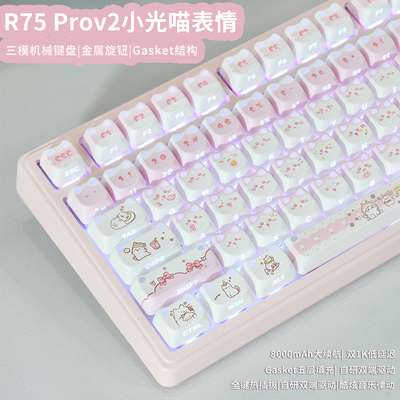 R75proV2小光喵表情无线机械键盘