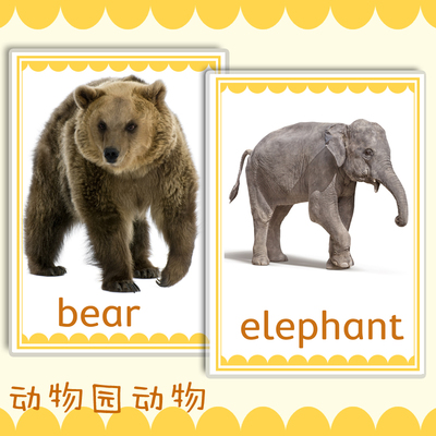 动物园动物英语单词卡片闪卡早教启蒙课堂塑封大卡教具