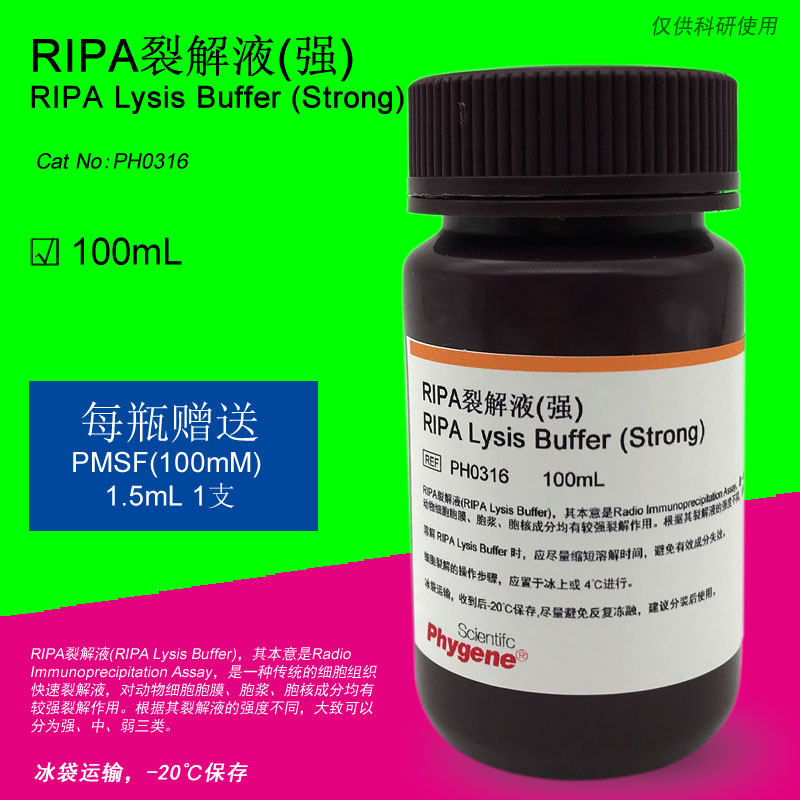 RIPA裂解液(强) RIPA Lysis Buffer 100mL实验 PH0316 PHYGENE_虎窝淘