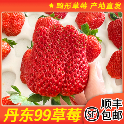 丹东99大丑草莓畸形草莓