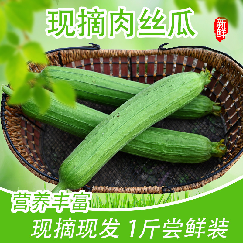 北京密云本地农家自产蔬菜新鲜丝瓜500g皮薄肉厚蜜蜂授粉农场直供