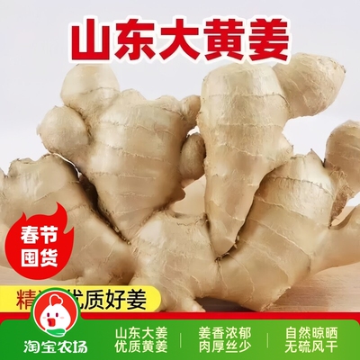正宗山东生姜新鲜老姜大姜大黄姜3斤/5斤月子土干姜农家自提食用