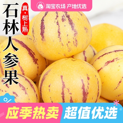 人参果新鲜水果现货人参果云南石林树上熟黄心圆果人生果9斤整箱