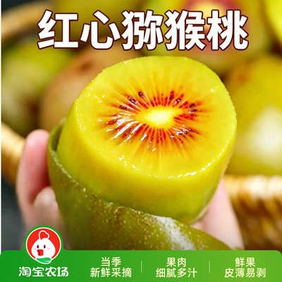 四川蒲江红心猕猴桃奇异果孕妇新鲜大果红阳无毛当季果园直发采摘