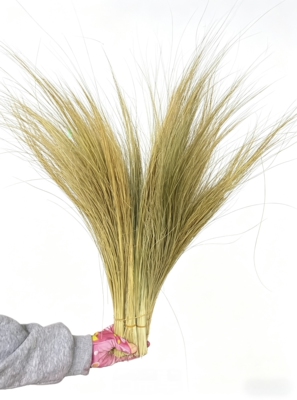 侘寂风天然干花干草 芦苇蒲扇枯枝 商业空间展厅民宿软装美陈造景