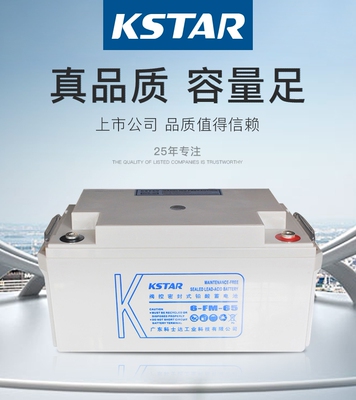 科士达6-FM-65免维护蓄电池12V65AH监控/消防/直流屏/船用/EPS