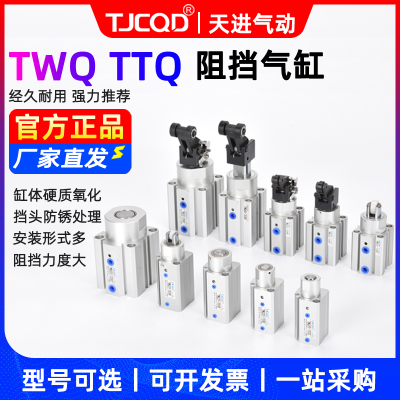TJCQD阻挡气缸TWQ220/25/32/40