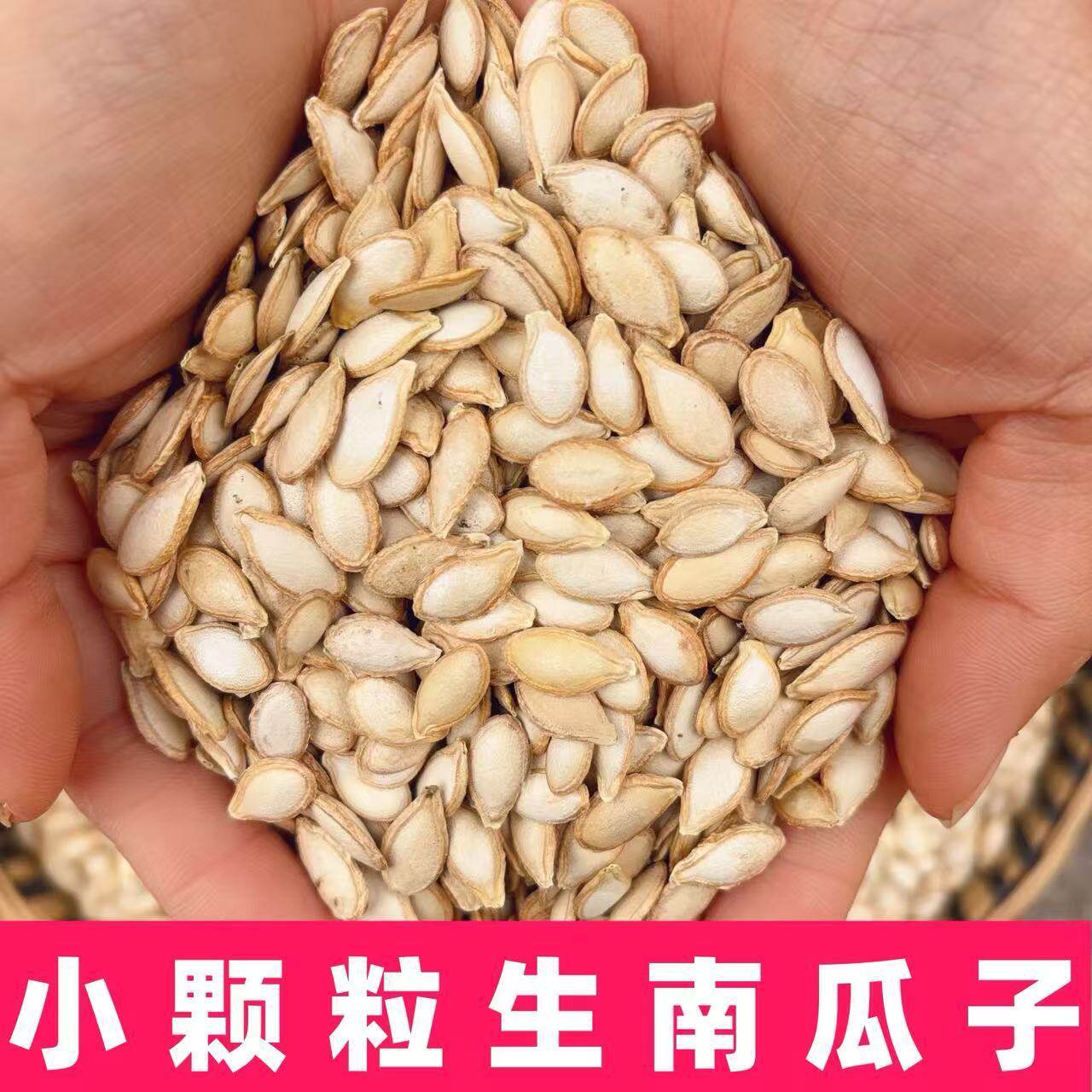 小颗粒毛边南瓜子特产炒南瓜籽炒货坚果原味零食无添加生南瓜籽