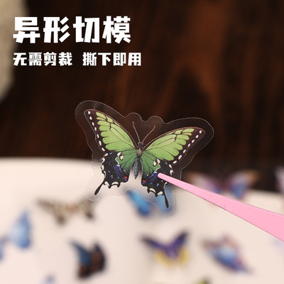清新可爱蝴蝶透明pet防水