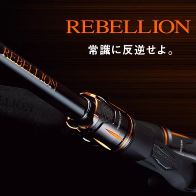 DAIWA达瓦逆霸龙鲈鱼竿远投