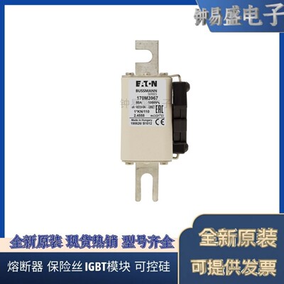 COOPER BUSSMANN熔断器170M3968 1000V 100A