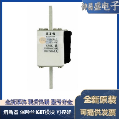 Bussmann熔断器170M4743 170M4744 170M4745  170M4746 170M4747