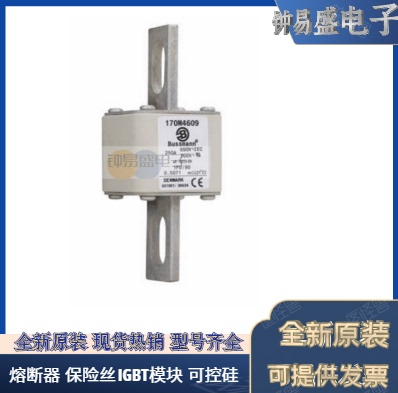 伊顿BUSSMANN巴斯曼原装熔断器170M4609  690V 250A