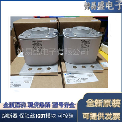 原装巴斯曼BUSSMANN熔断器170M7217 170M7597 170M7676