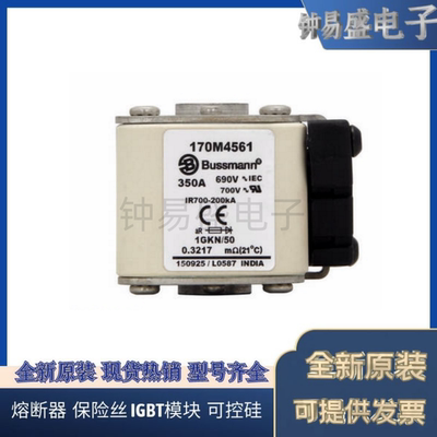 美国伊顿EATON Bussmann熔断器170M4560