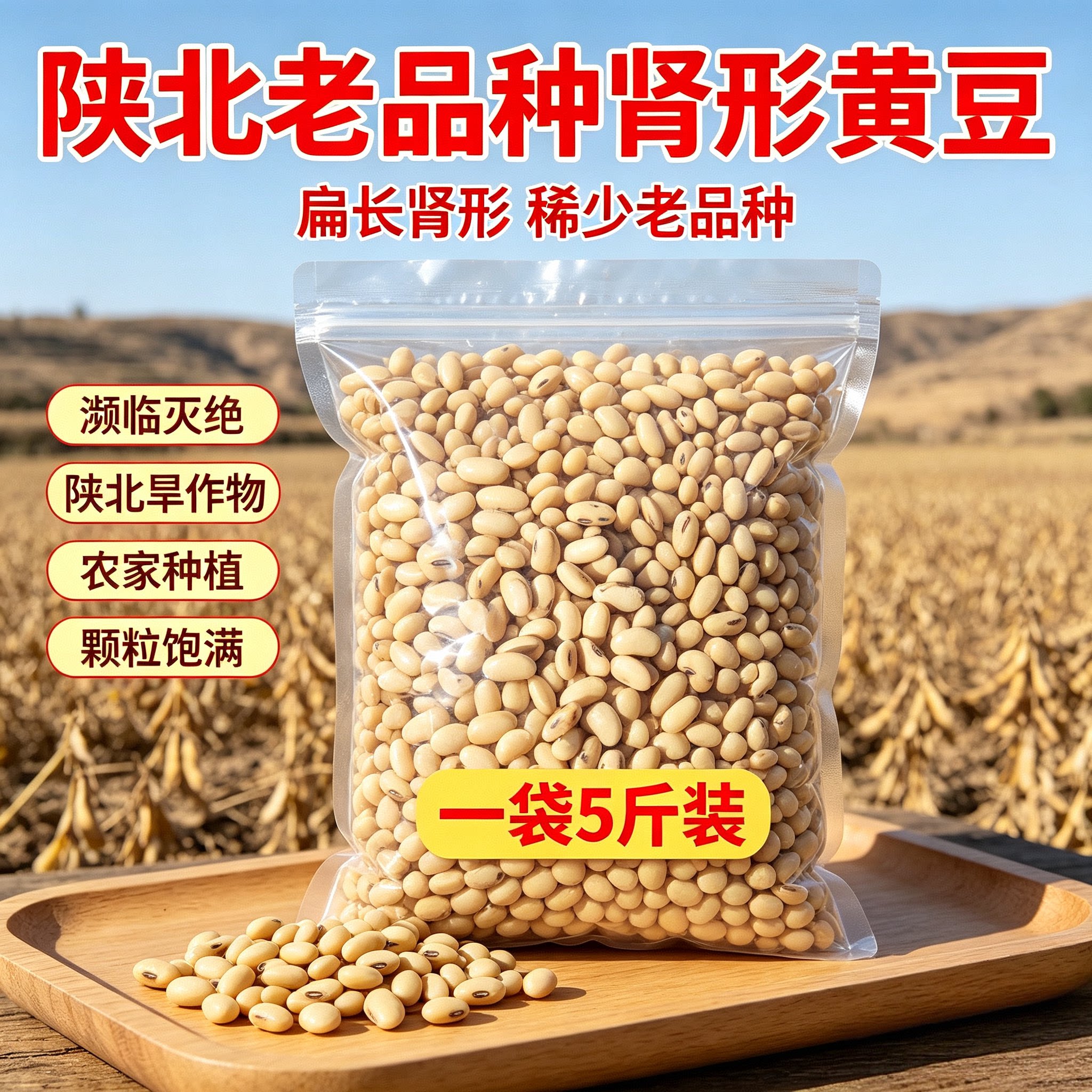 陕北老品种 肾形黄豆非转基因发芽豆浆豆腐豆农家自产笨黄豆5斤装