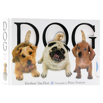 狗英文原版纸板触摸操作书