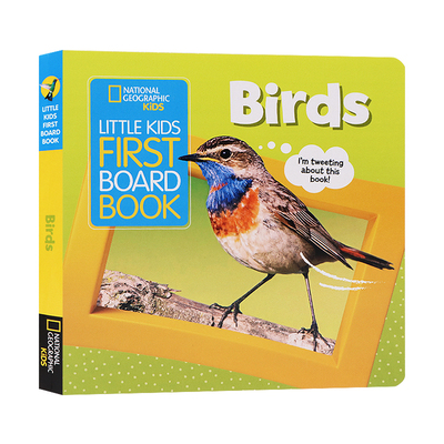 鸟类英文原版绘本纸板书