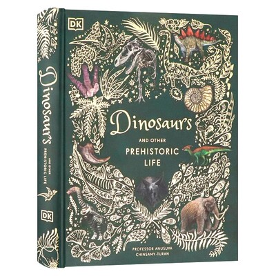 DK图解百科英文原版绘本