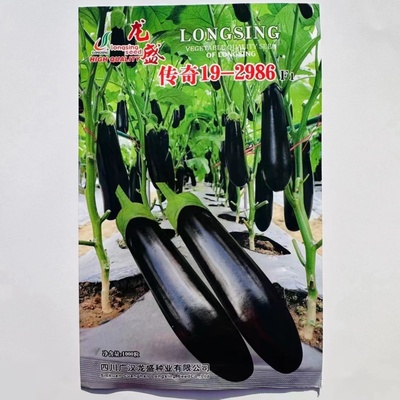 传奇19-2986黑茄子种子早熟抗病丰产油量黑皮南北方春夏季播