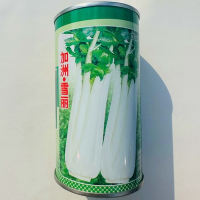 加洲雪丽白杆芹菜种子实心香芹四季耐热耐寒脆嫩雪白芹菜蔬菜种籽
