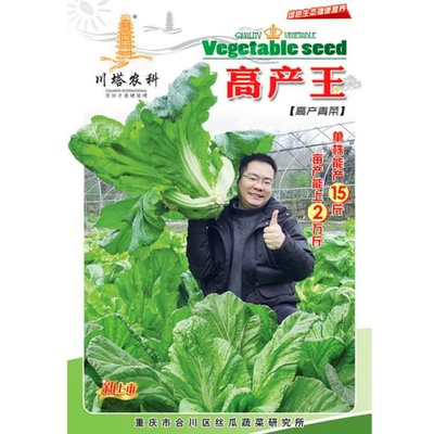 高产王芥菜种籽花叶青菜种子抗病耐寒特色蔬菜种孑小院阳台盆栽播