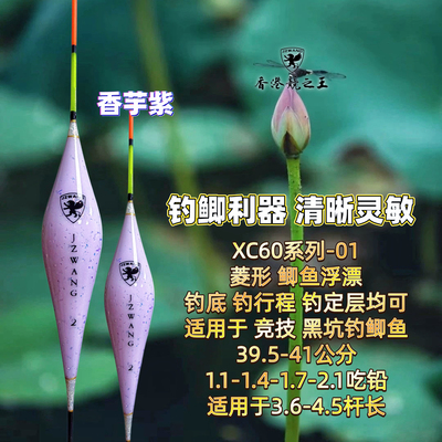 纳米圆尾中尾鲫鱼浮漂竞技高清