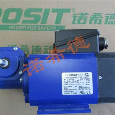 供应德国 GROSCHOPP直流电机 交流电机 无刷电机 减速机