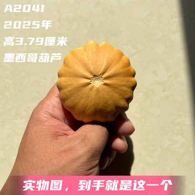 A2041高3.79厘米2025年精品手捻饼子花瓣墨西哥七彩葫芦