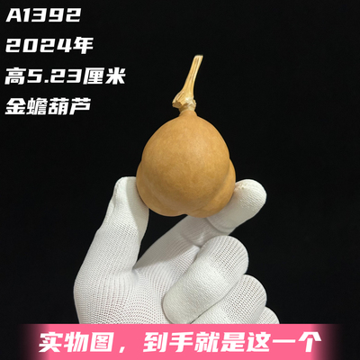 A1392高5.23厘米2024年精品手捻勒扎胖墩金蟾葫芦