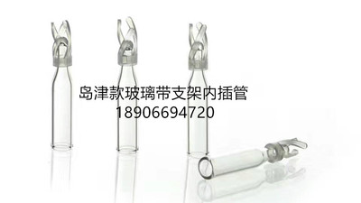 100ul带塑料支脚的玻璃内插管