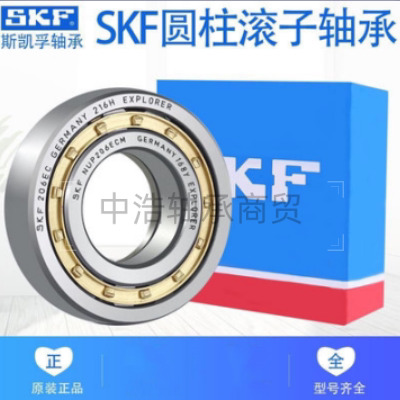 SKF圆柱滚子轴承NUP NJ NU N NF215 216 217 218 219ECM ECP ECJ