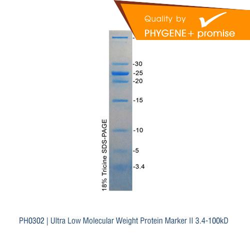 PH0302超低分子量蛋白Marker II 3.4-100kD 50ul Phygene_虎窝淘