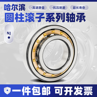 哈尔滨轴承N304 N305 N306 N307 N308 N309 N310 N311EM
